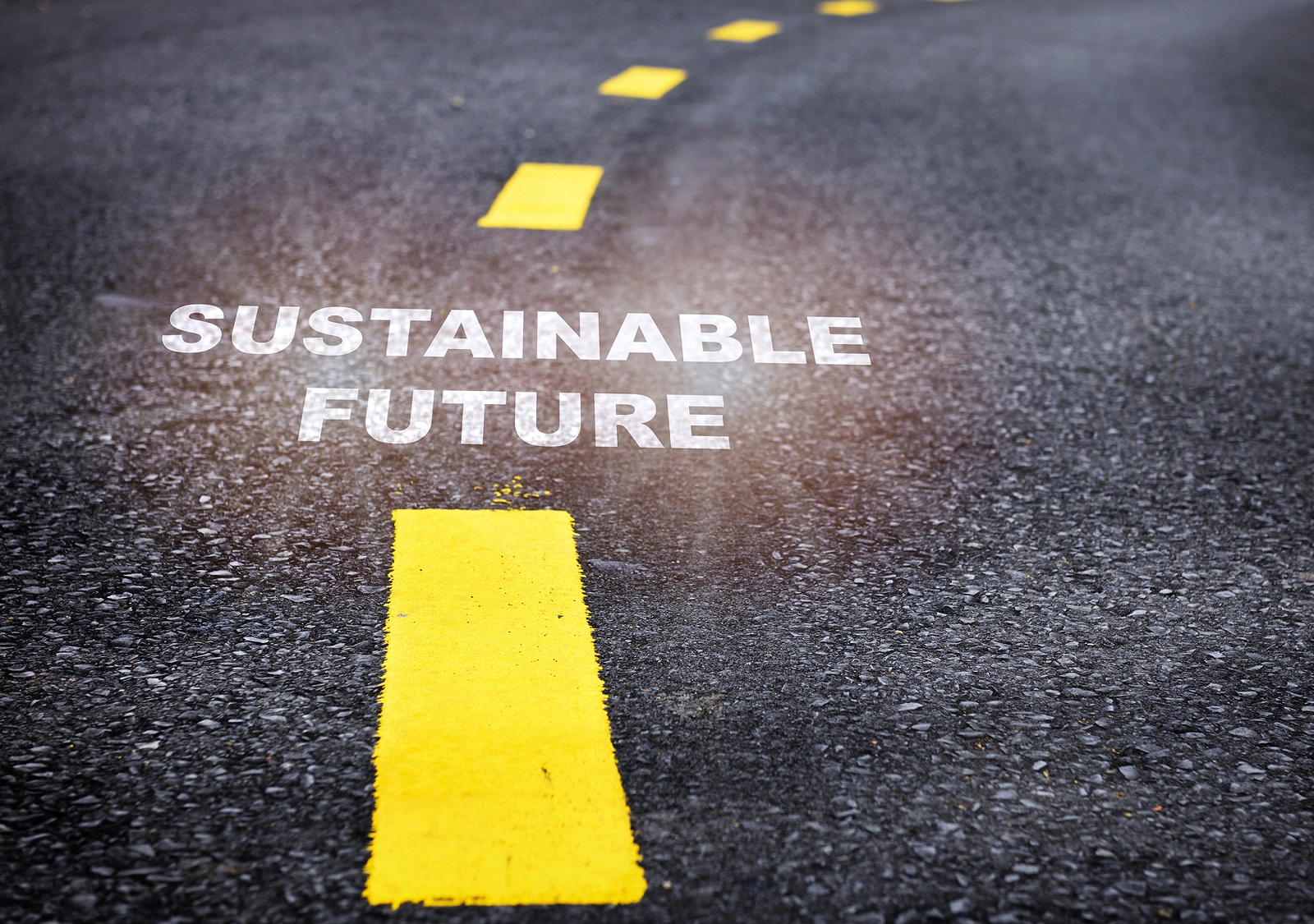 Top Tips and Takeaways from the Sustainability Careers Week | Oxford ...